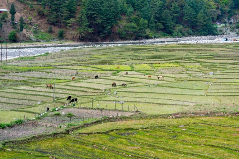 Whispers of the Mizo Hills [5 Days] - Mizoram Tour Itinerary - North ...