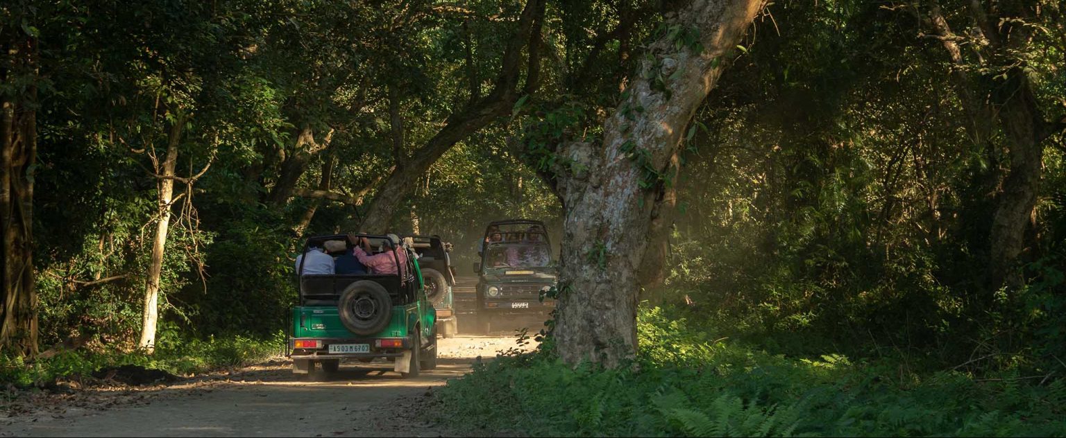 Whispers of the Mizo Hills [5 Days] - Mizoram Tour Itinerary - North ...